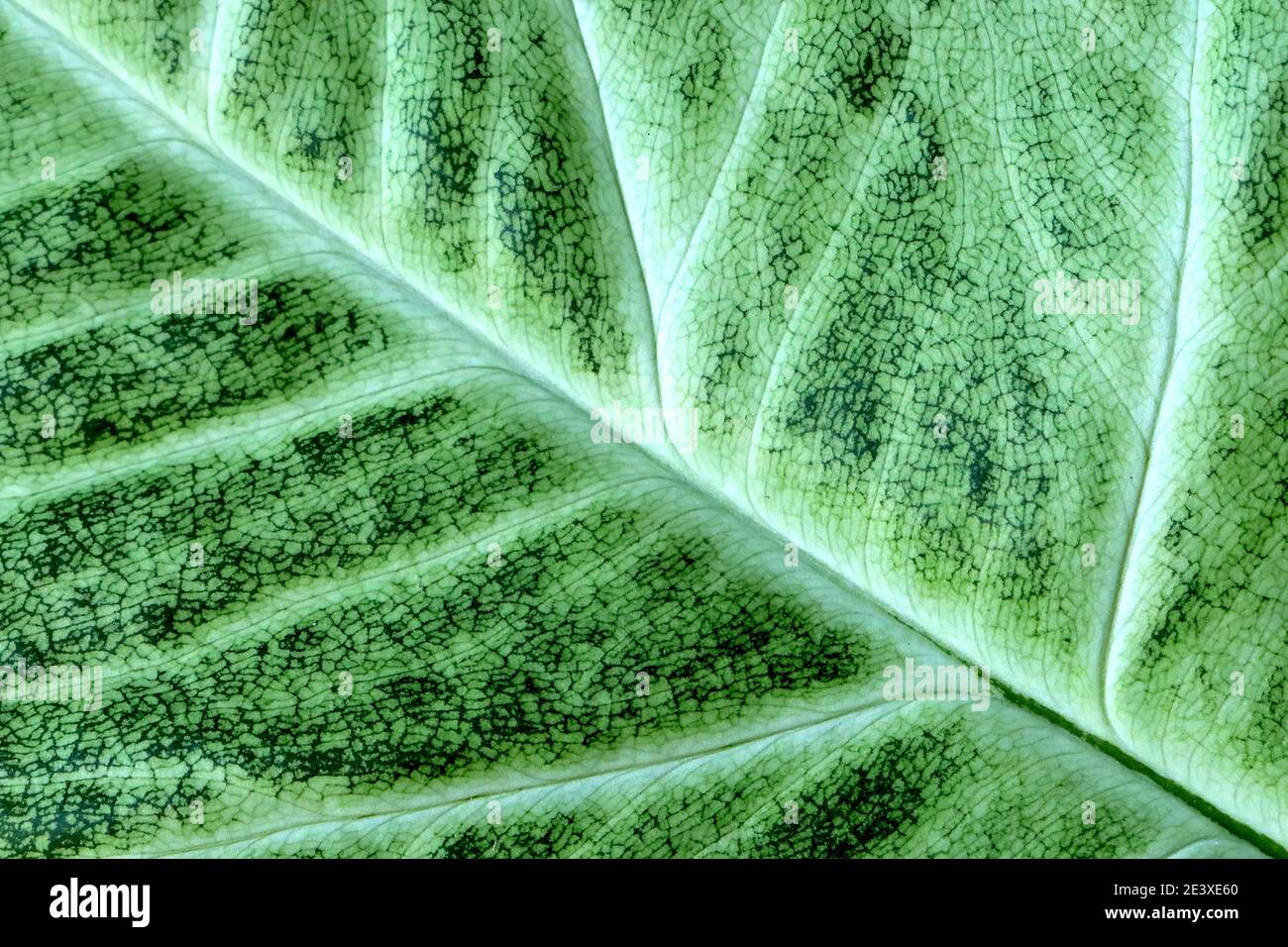 Potus hi-res stock photography and images - Alamy