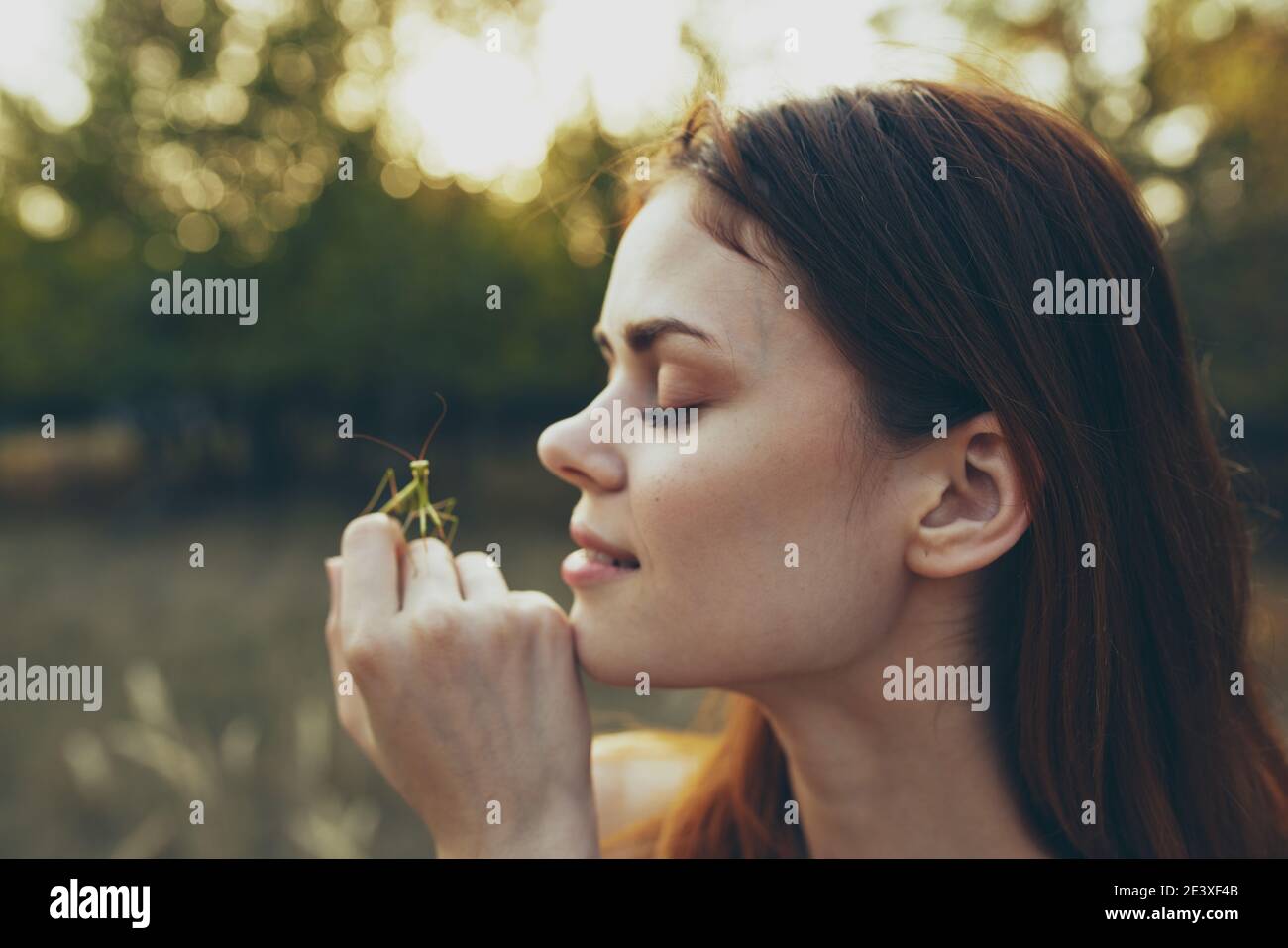 beautiful woman holds a praying mantis on her hand in nature on a ...