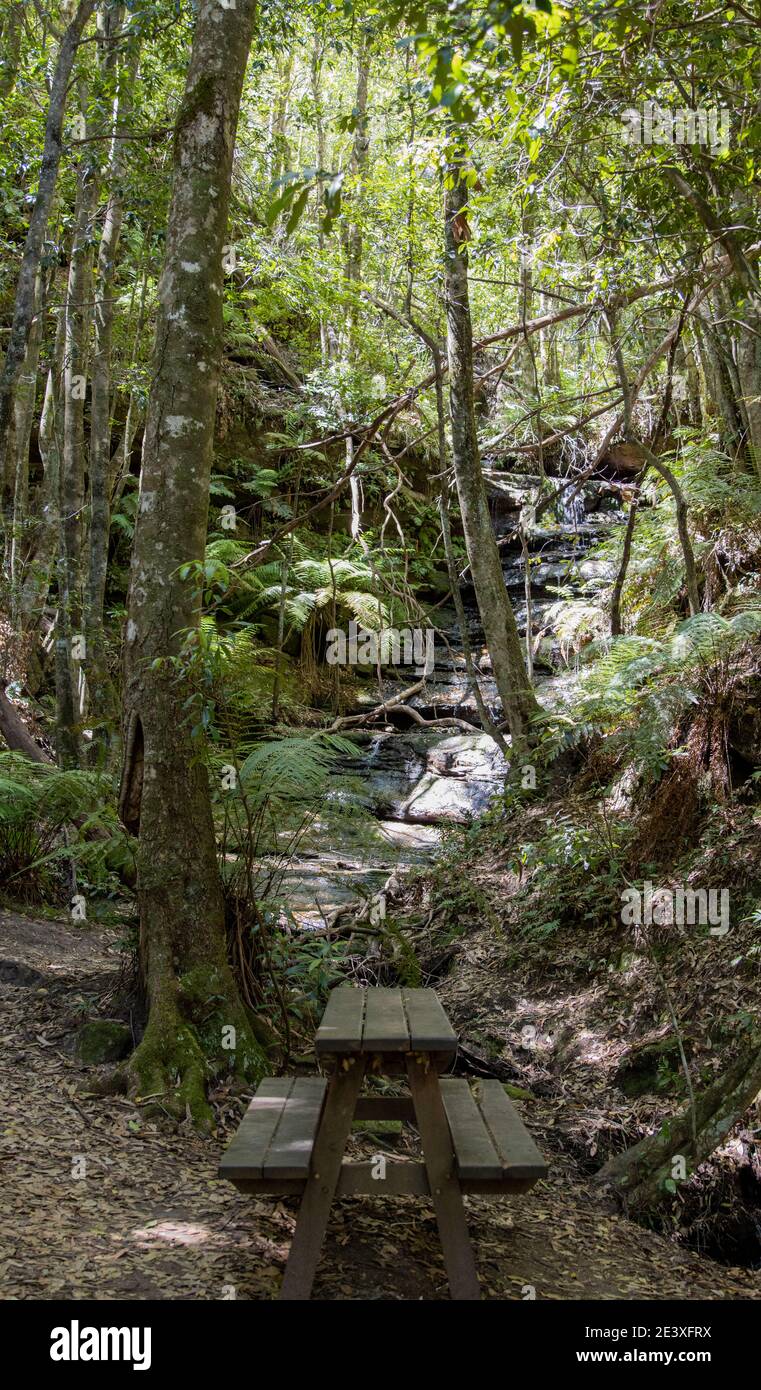 Lunch with nature hi-res stock photography and images - Alamy