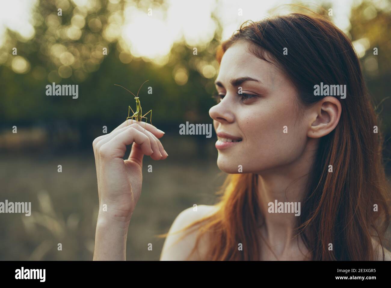woman with insect on her hand praying mantis nature trees summer Stock ...