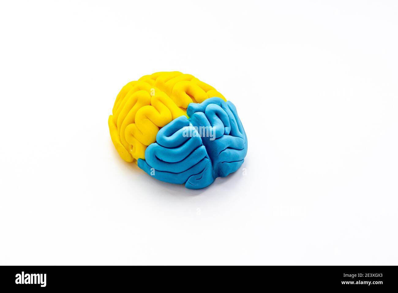 Human brain. Model of clay. Mental health background Stock Photo - Alamy