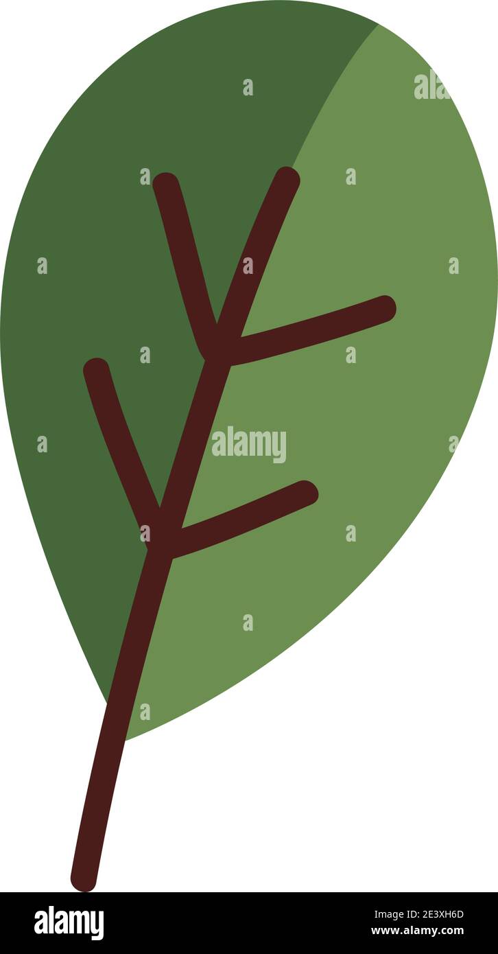 oval leaf line and fill style icon design of Plant natural floral theme ...