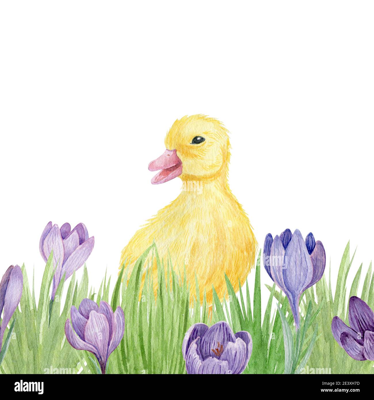 Spring theme watercolor illustration Stock Photo - Alamy