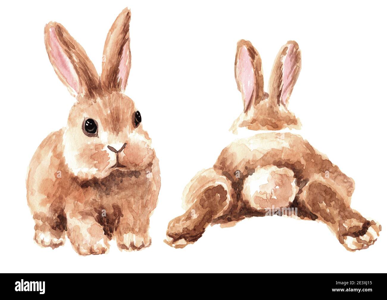 Easter rabbit set. Hand drawn watercolor illustration, isolated on ...