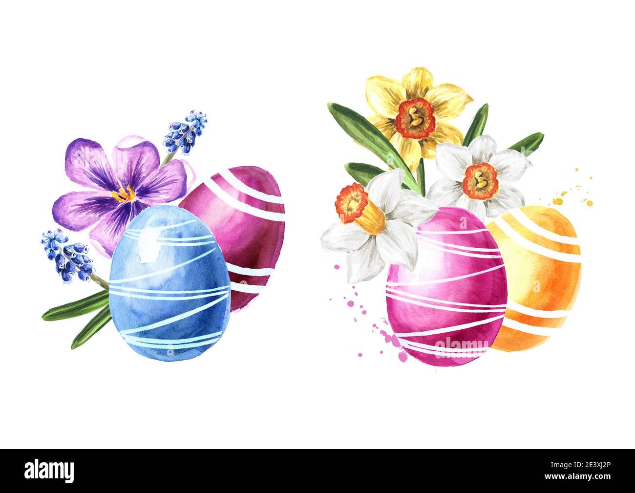 Easter colored eggs and spring flowers set. Hand drawn watercolor ...