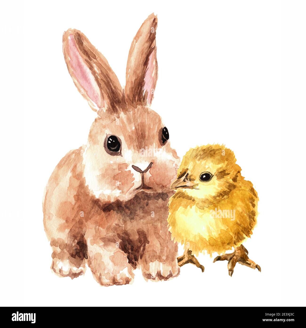 Cute rabbit and little chicken. Hand drawn watercolor illustration ...
