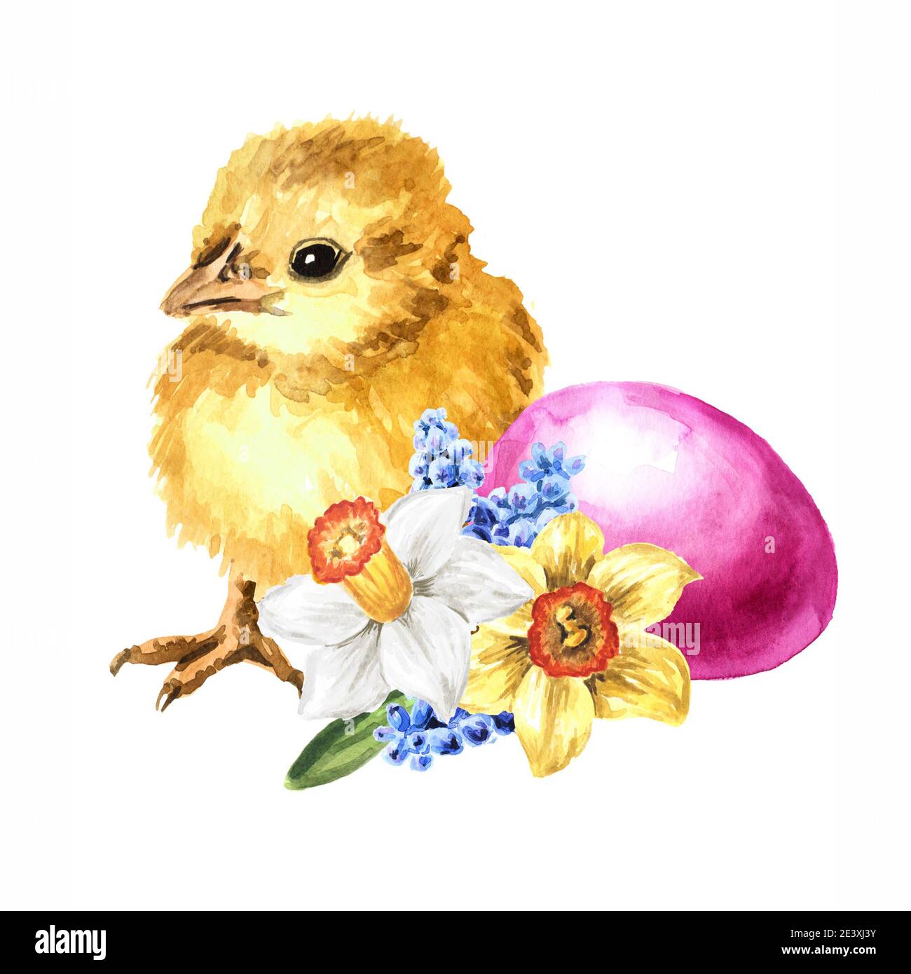 Colored Easter egg, cute chicken and spring flowers. Hand drawn ...