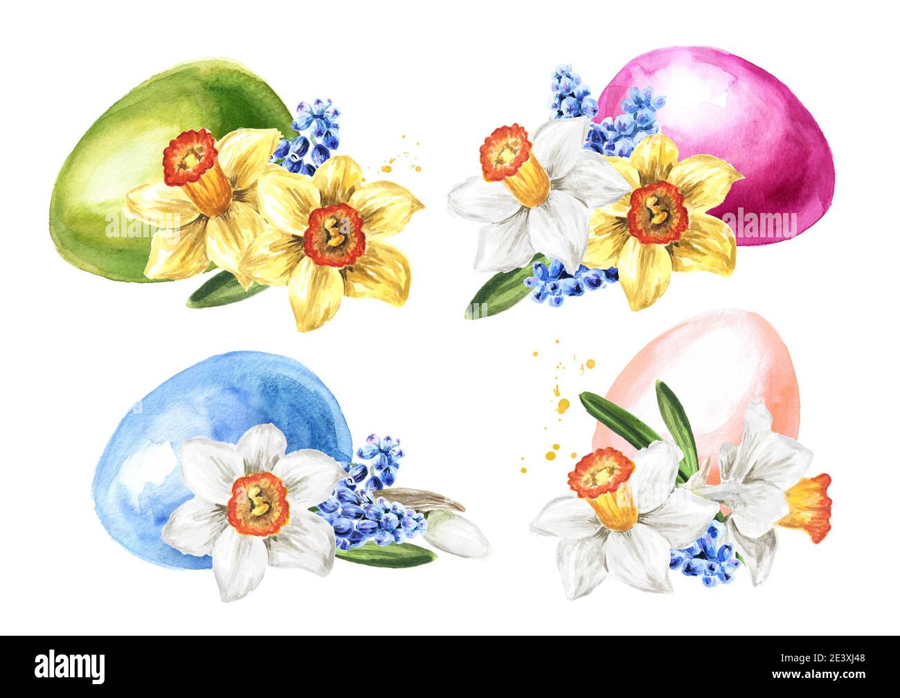Easter colored eggs and spring flowers. Hand drawn watercolor ...