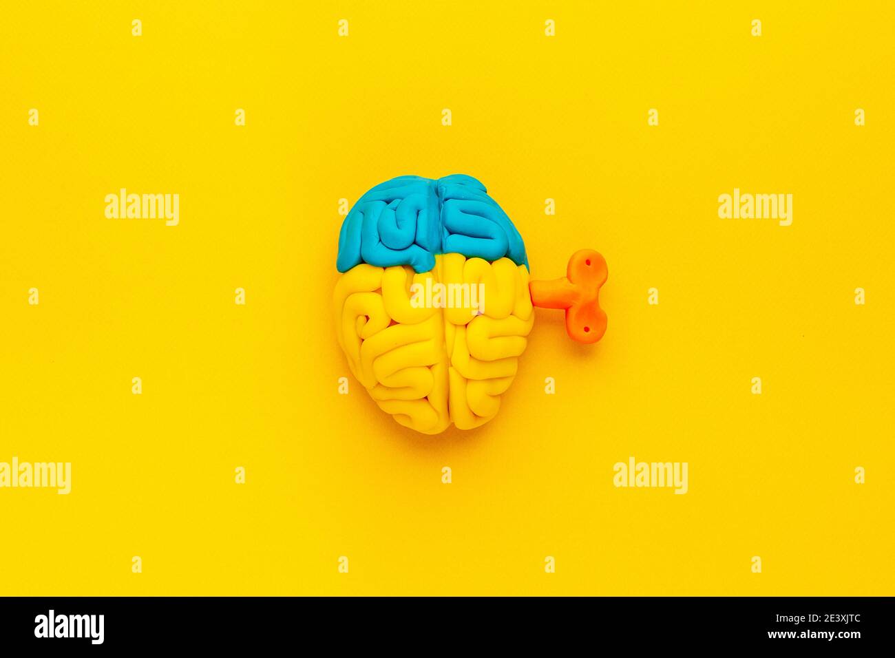 Human brain concept. Mental health, education and medical science ...