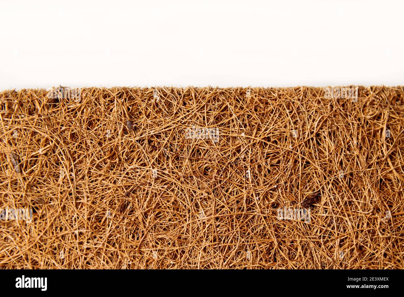 Coconut fiber production hi-res stock photography and images - Alamy