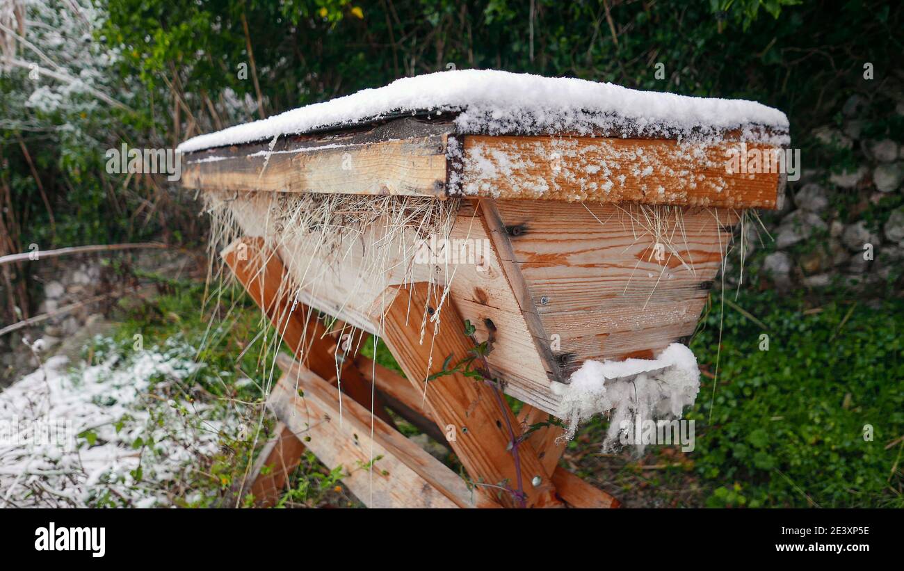 Wooden hive hi-res stock photography and images - Alamy