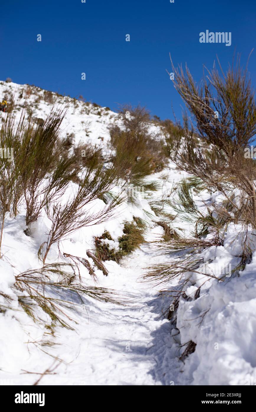Winter snowy bumpy landscape hi-res stock photography and images - Alamy