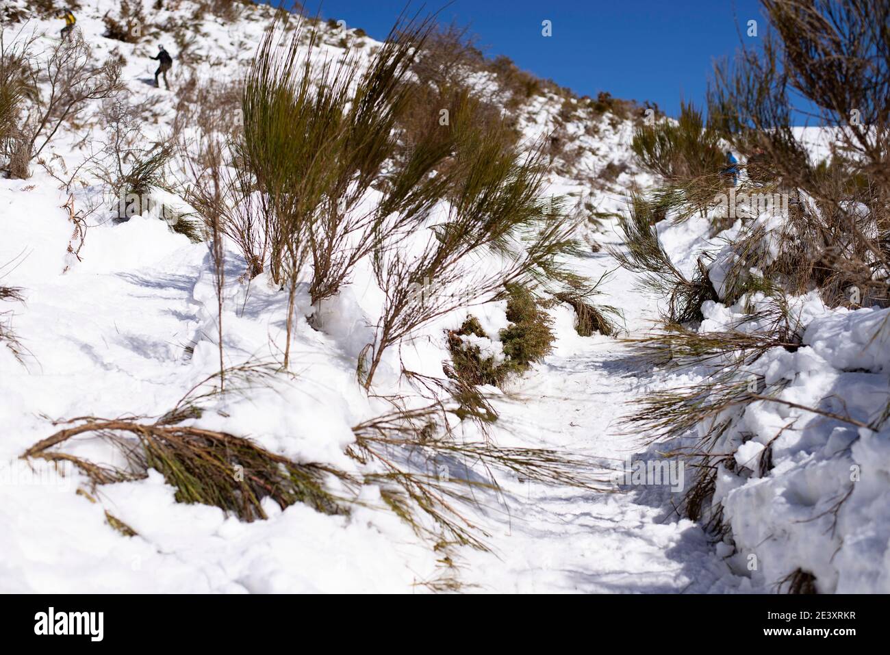 Winter snowy bumpy landscape hi-res stock photography and images - Alamy