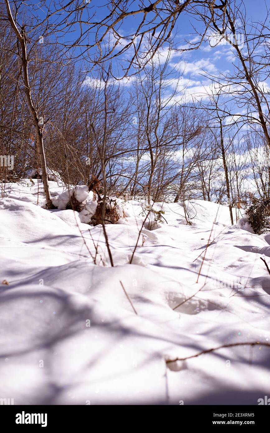 Closeup of a snow landscape hill with cloudy sky Stock Photo - Alamy