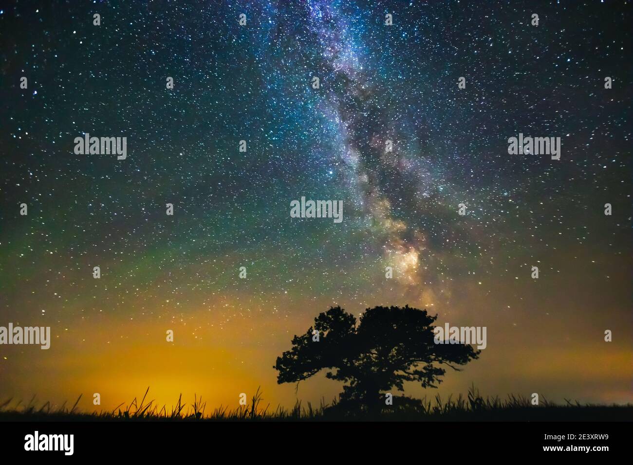 Landscape with Milky way galaxy over the oak tree Stock Photo - Alamy