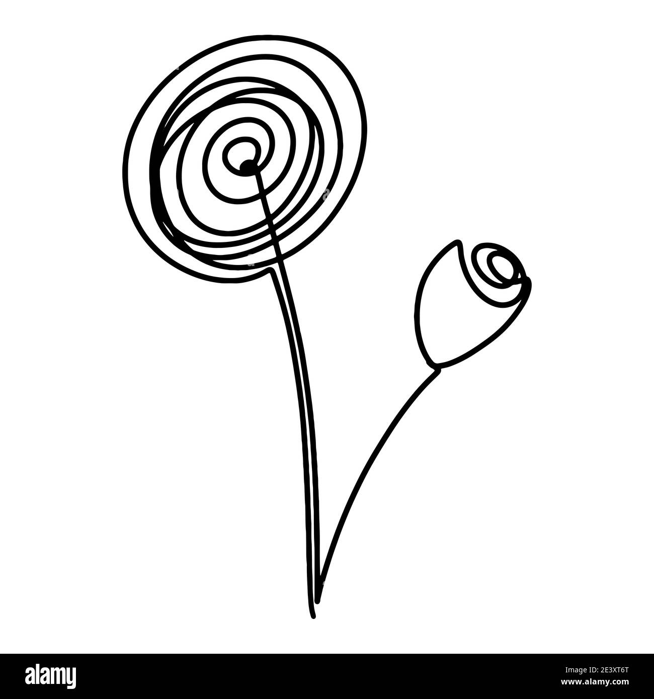 One line hand drawn rose in doodle style vector illustration isolated ...