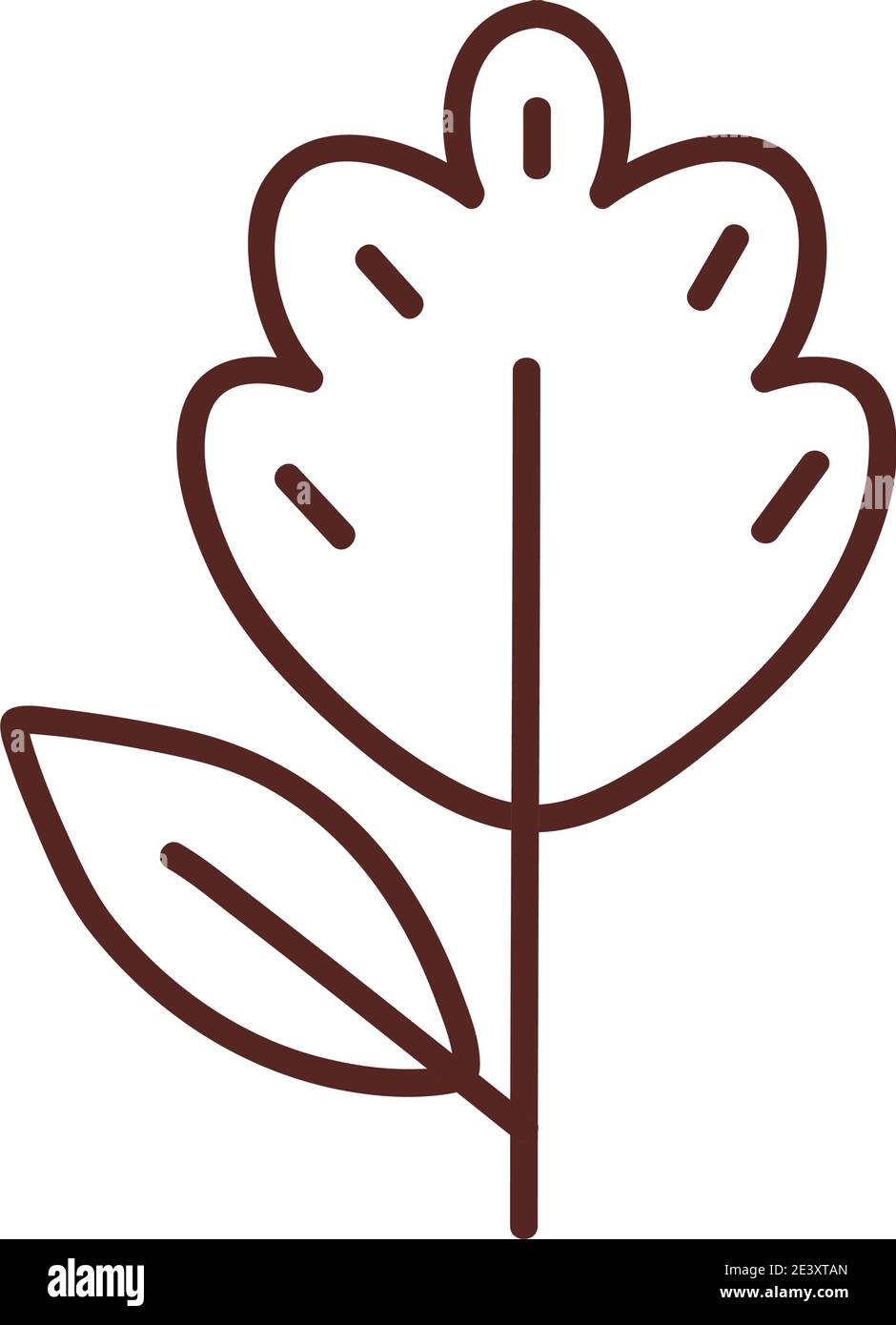 Plant leaf with two leaves line style icon design of Natural floral ...