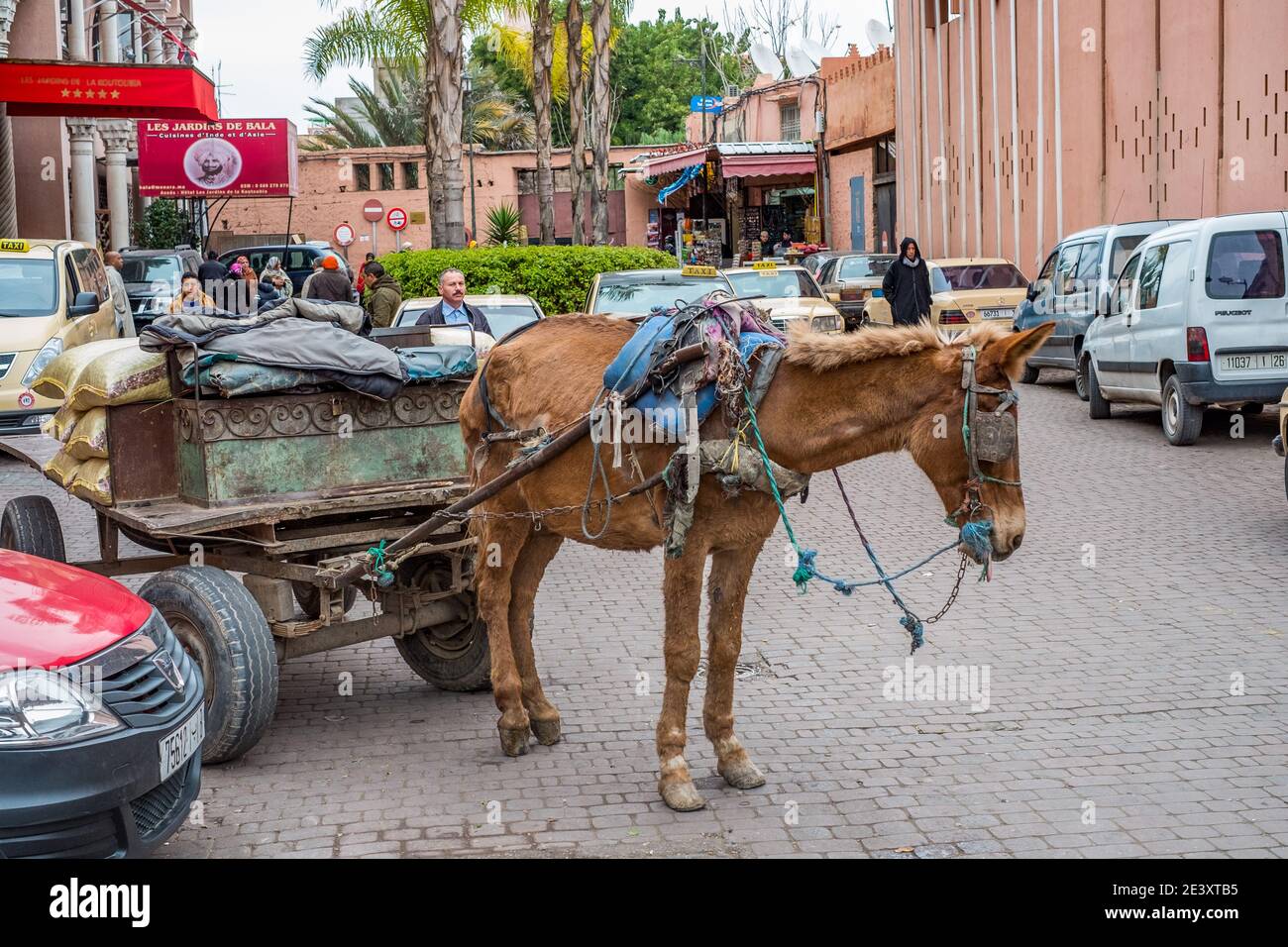Marrakech souk & Jemaa el-Fnaa square and market place in Marrakesh's ...