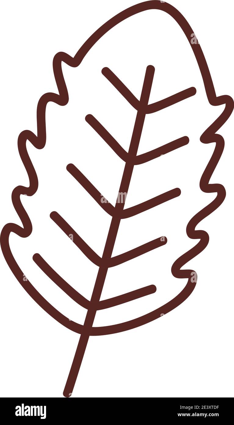 Plant leaf line style symbol design of natural floral theme Vector ...