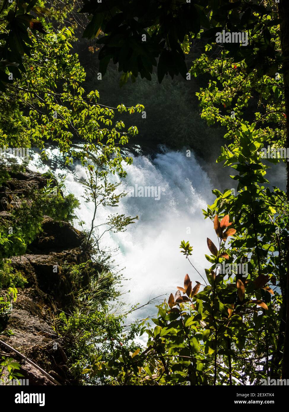 Chile huilo huilo huilo huilo hi-res stock photography and images - Alamy