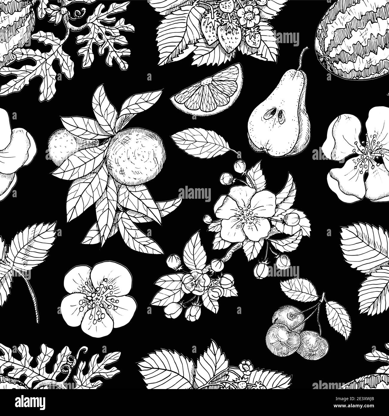 Hand drawn engraved vector illustration, black and white line art ...