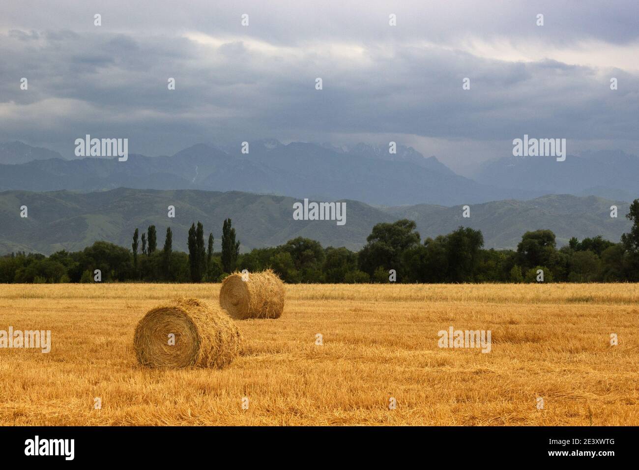 2 Haystack rolls on an agricultural field in the foothills of central ...