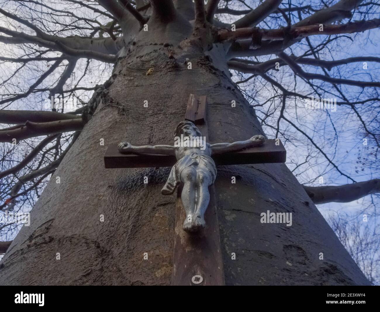 cross with jesus on a large old tree in the forest middle view Stock ...