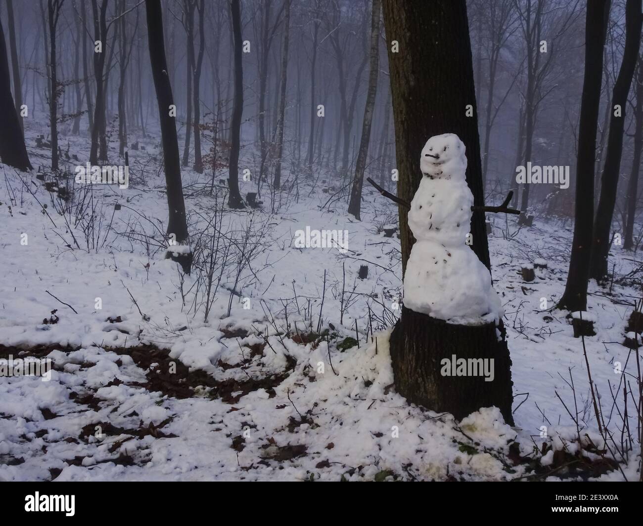Snowman photos hi-res stock photography and images - Alamy