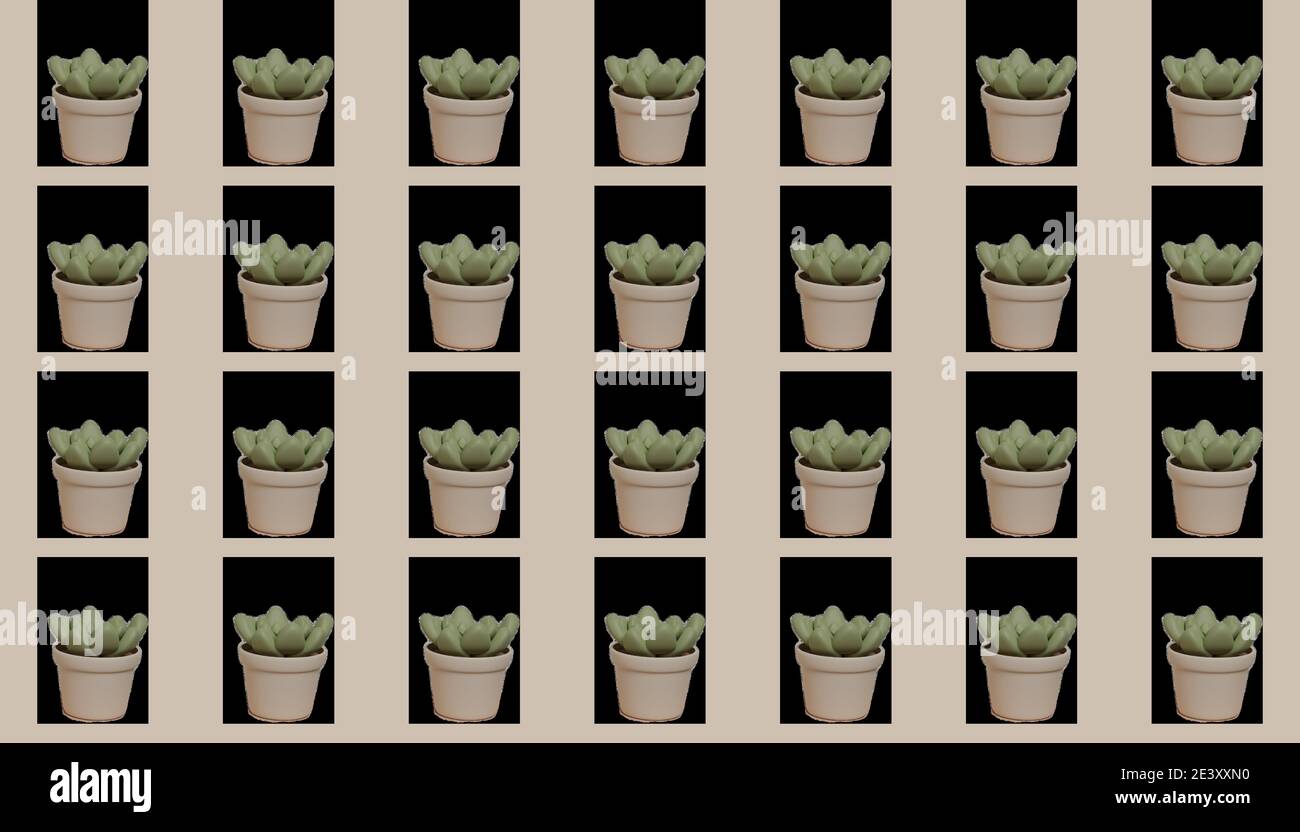 Seamless repeating pattern succulent plant hi-res stock photography and ...