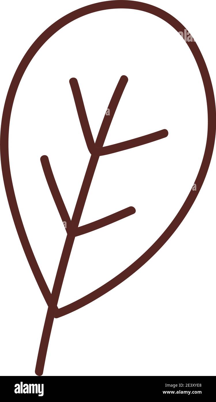 oval leaf line style icon design of Plant natural floral theme Vector ...