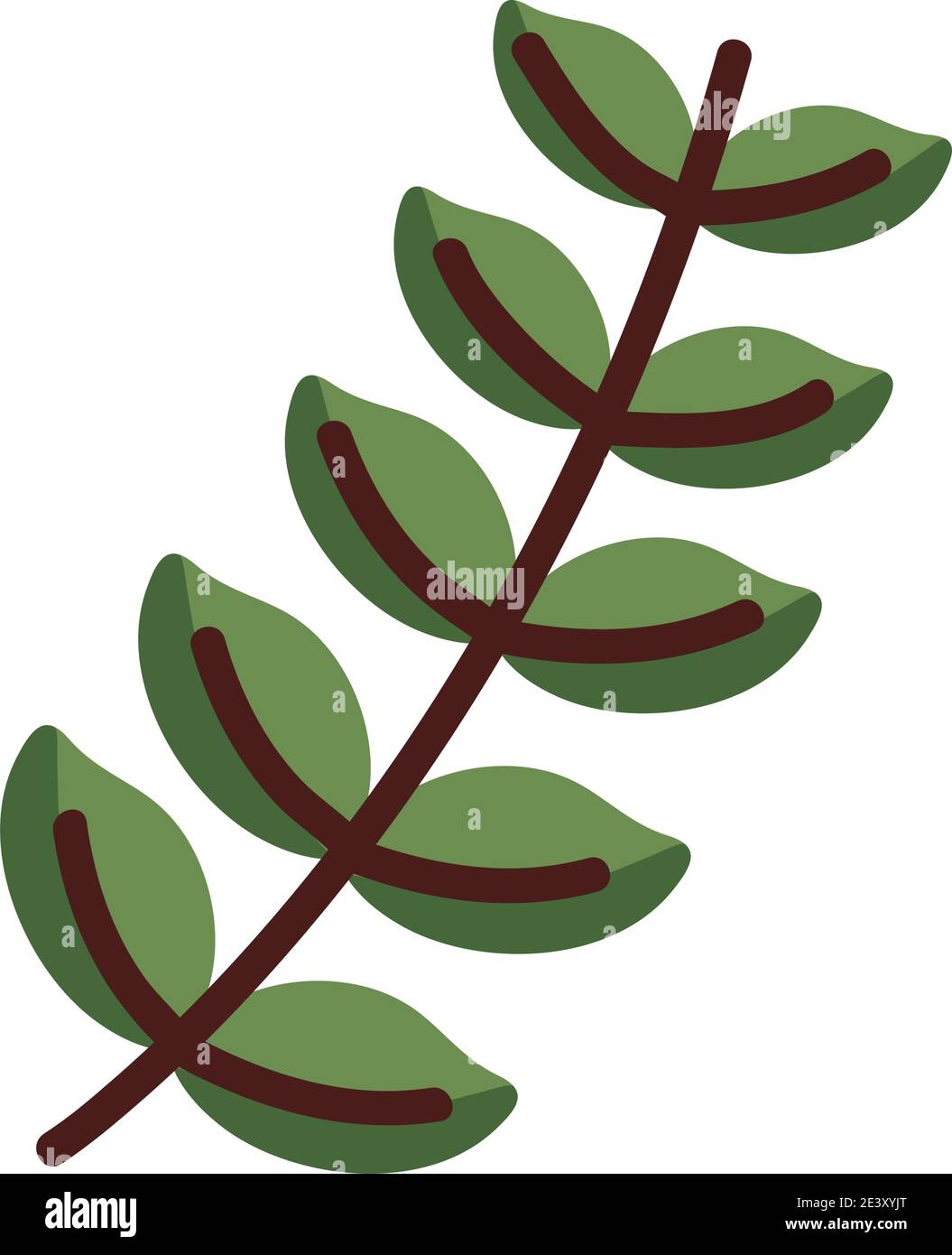 Plant leaf line and fill style icon design of natural floral theme ...