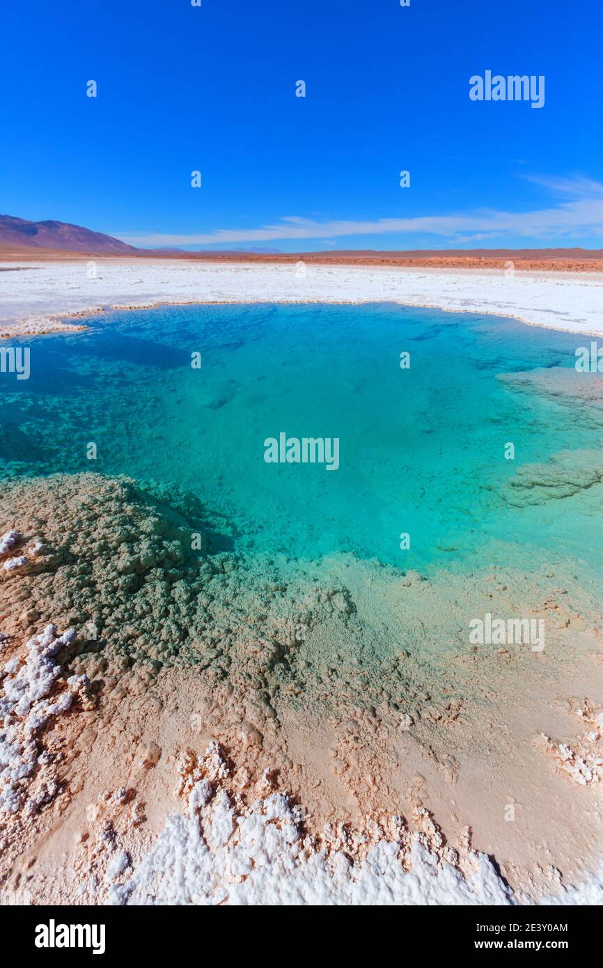 Salt water pool in Salinas Grandes Salt Flat - Jujuy, Argentina ...