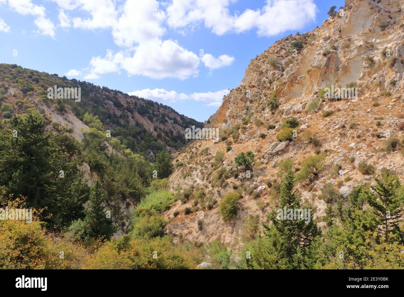 view on the Avakas Gorge with steep rocks and river on bottom. Akamas ...