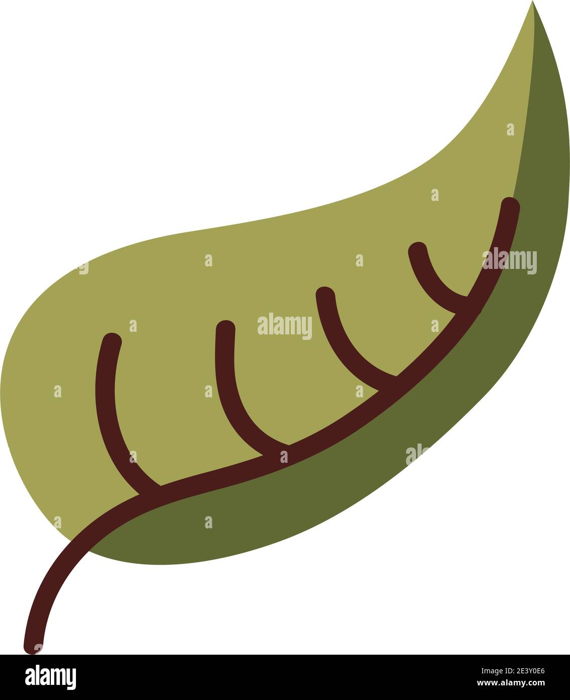 Autumn leaf with curve line and fill style icon design, season nature ...