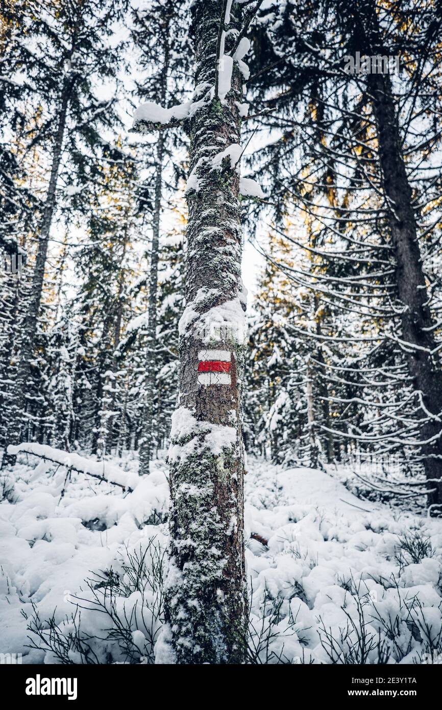 Sumava National Park is one of four national parks in Czechia. It is ...