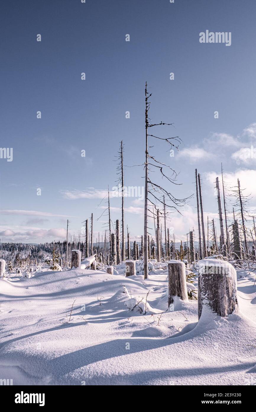 Sumava National Park is one of four national parks in Czechia. It is ...