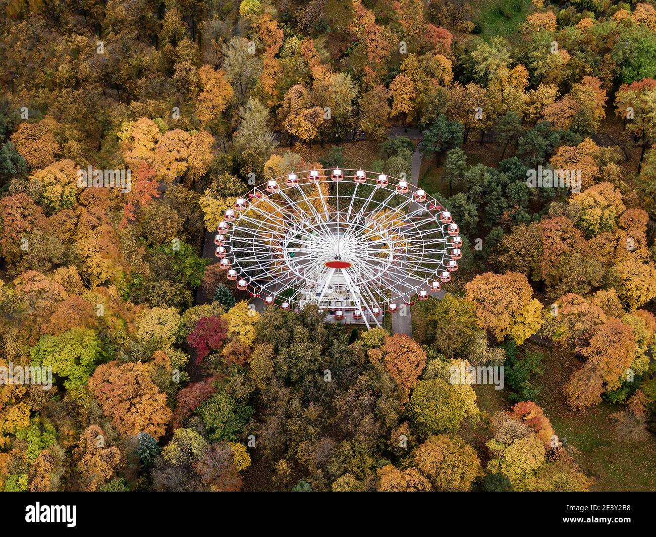 Woodland ride drone hi-res stock photography and images - Alamy