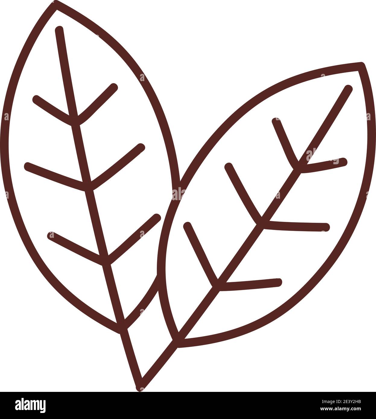 leaf with two leaves line style icon isolated design of Plant natural ...