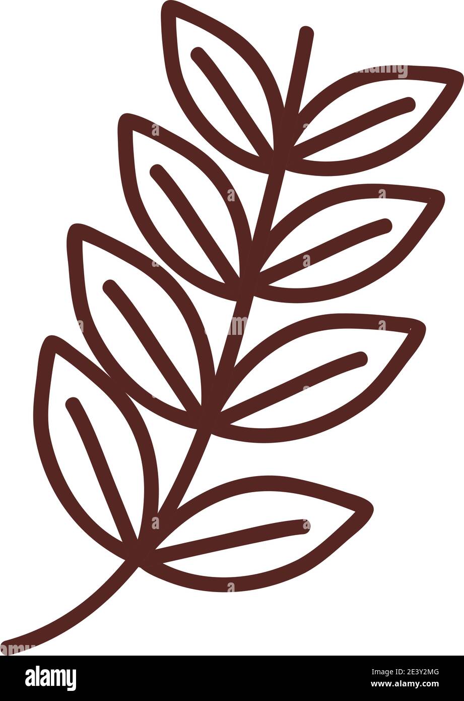 Leaf Line Design