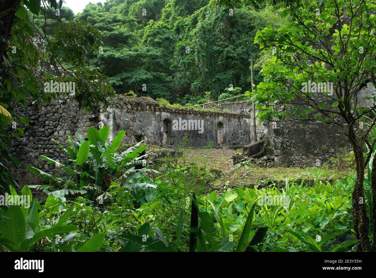 Martinique, Le Precheur: sugar refinery Habitation Ceron. Ruins of the ...