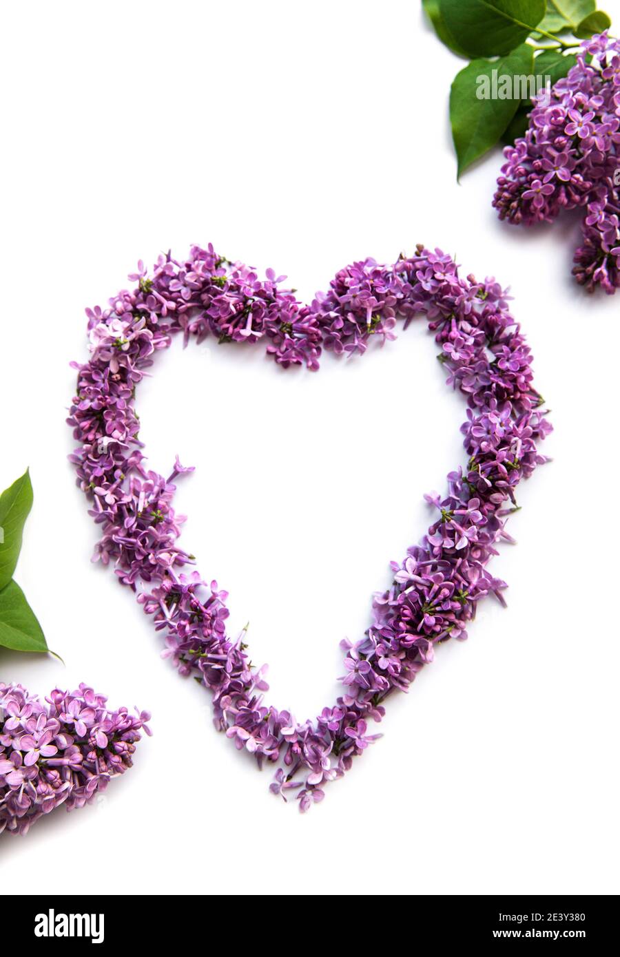 Flat bloom shape Cut Out Stock Images & Pictures - Alamy