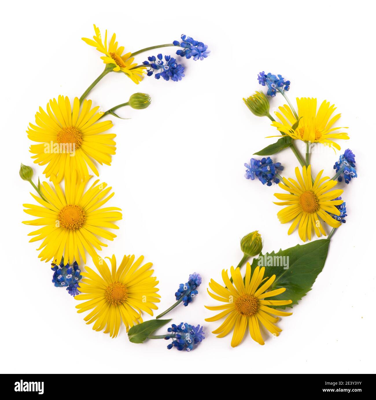 Spring gardening flat composition Cut Out Stock Images & Pictures - Alamy