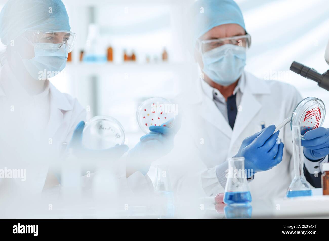 close up. microbiologists discussing the results of a scientific ...