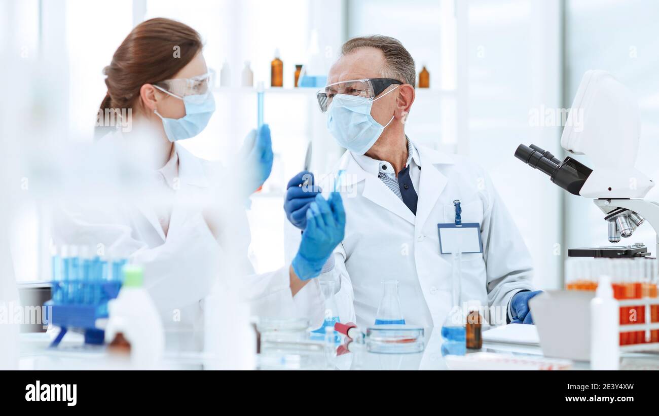 biologists compare test results . science and health Stock Photo - Alamy