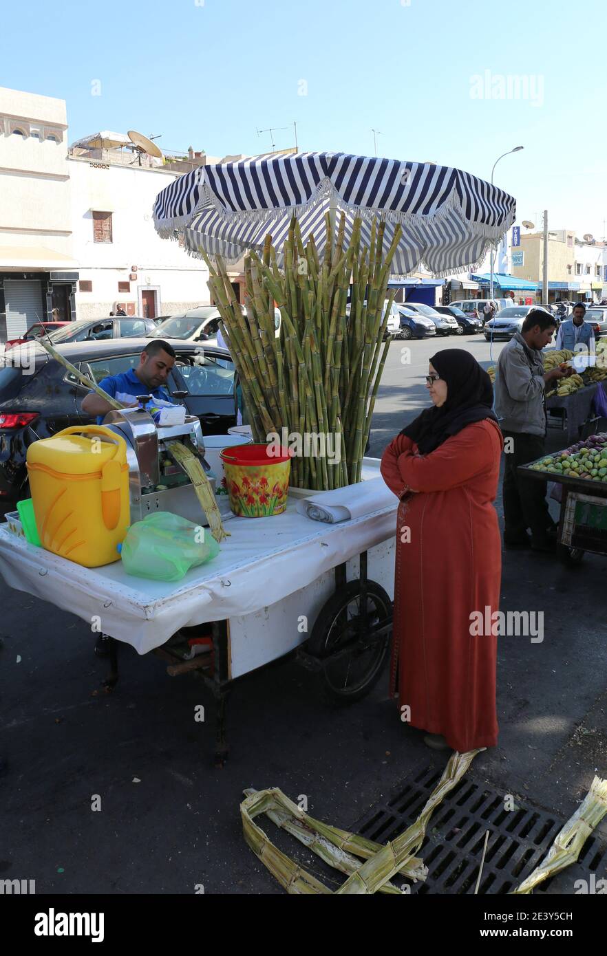 Yield of sugarcane crop hi-res stock photography and images - Alamy