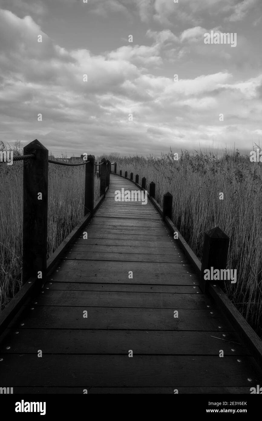 Lake golden color Black and White Stock Photos & Images - Alamy