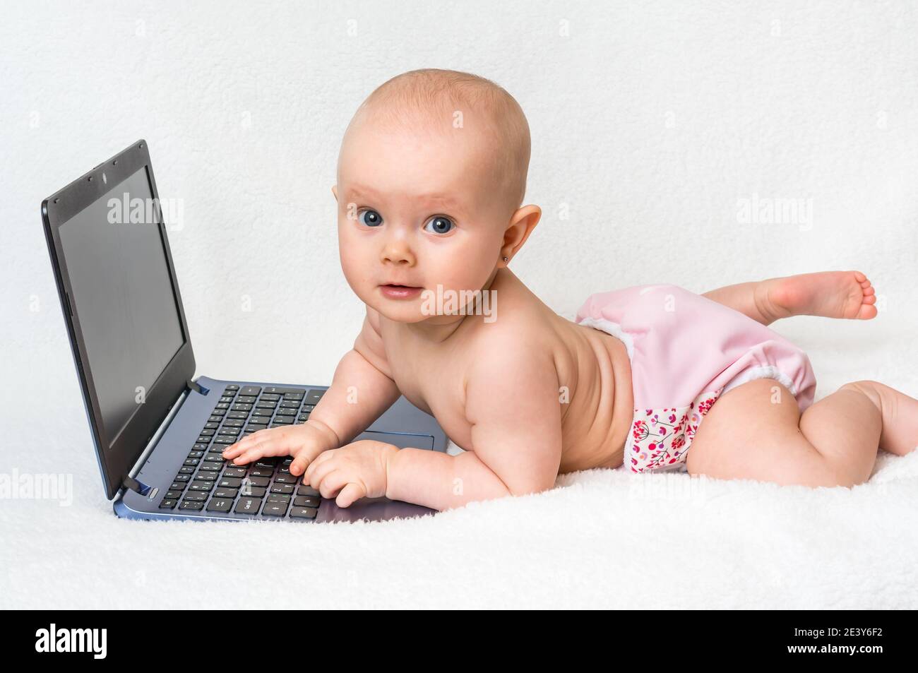 Cute baby typing on a laptop computer isolated on white blanket Stock ...