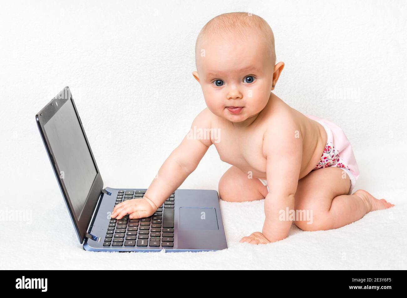Cute baby typing on a laptop computer isolated on white blanket Stock ...