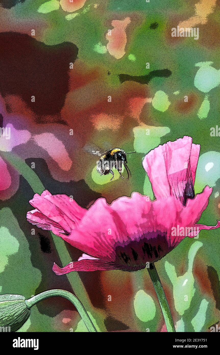 Poster edges effect hi-res stock photography and images - Alamy