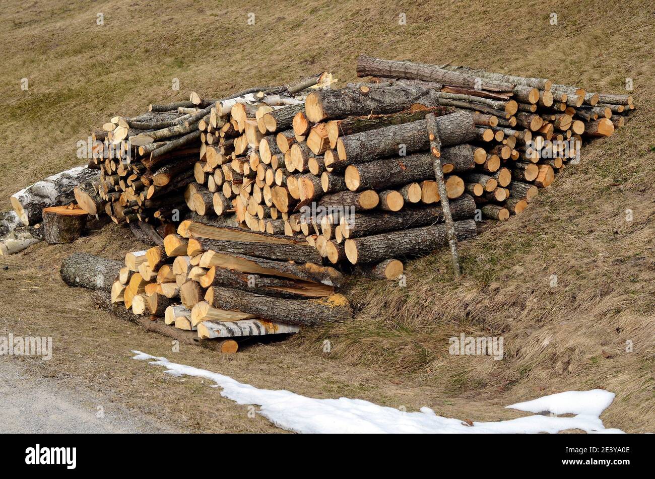Timber industry austria hi-res stock photography and images - Alamy